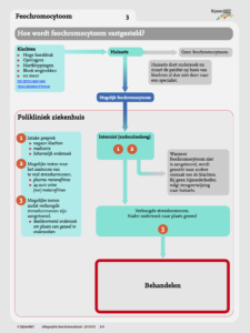 Infografic Feochromocytoom - BijnierNET