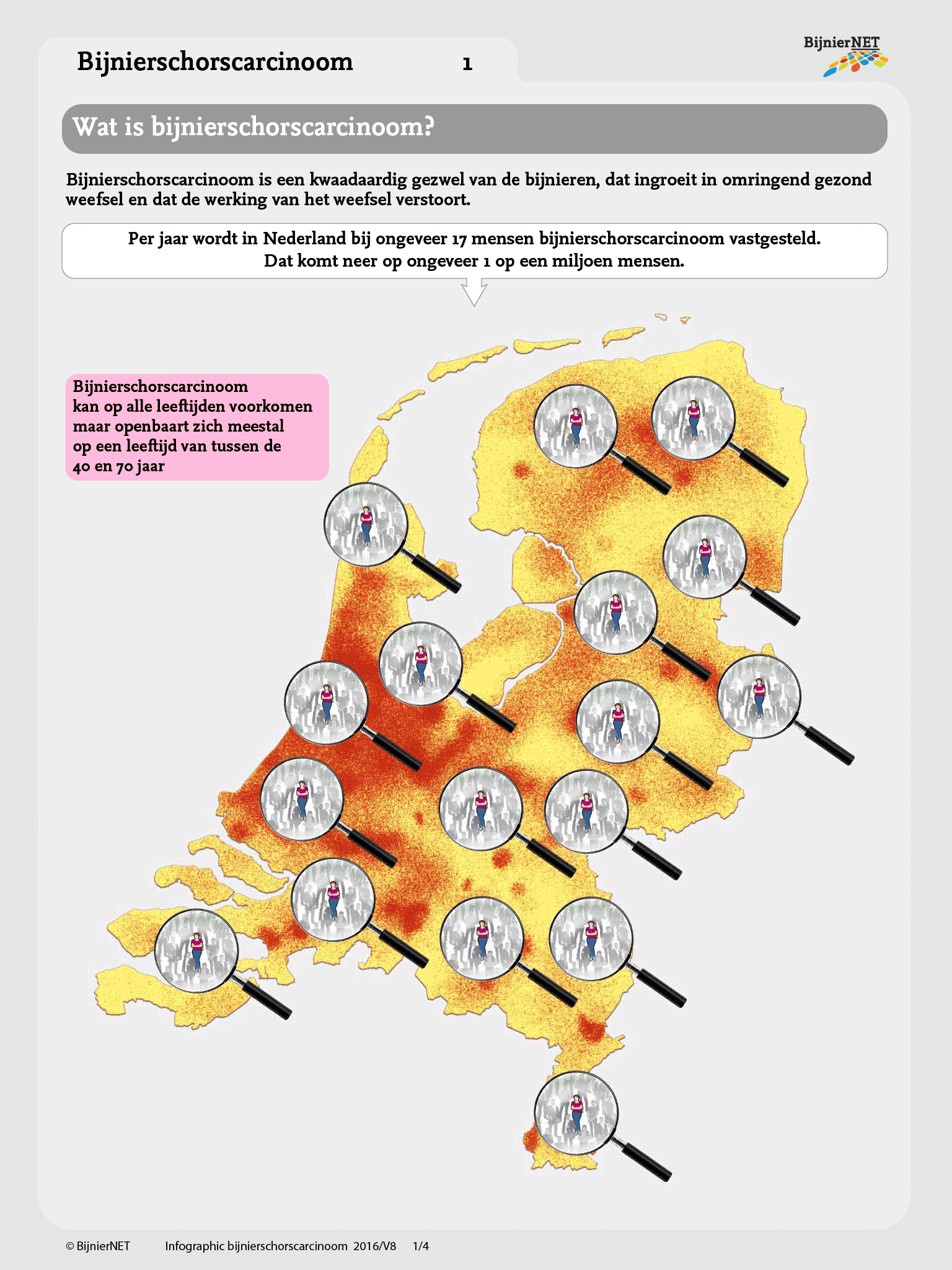 Infografic Bijnierschorscarcinoom - BijnierNET