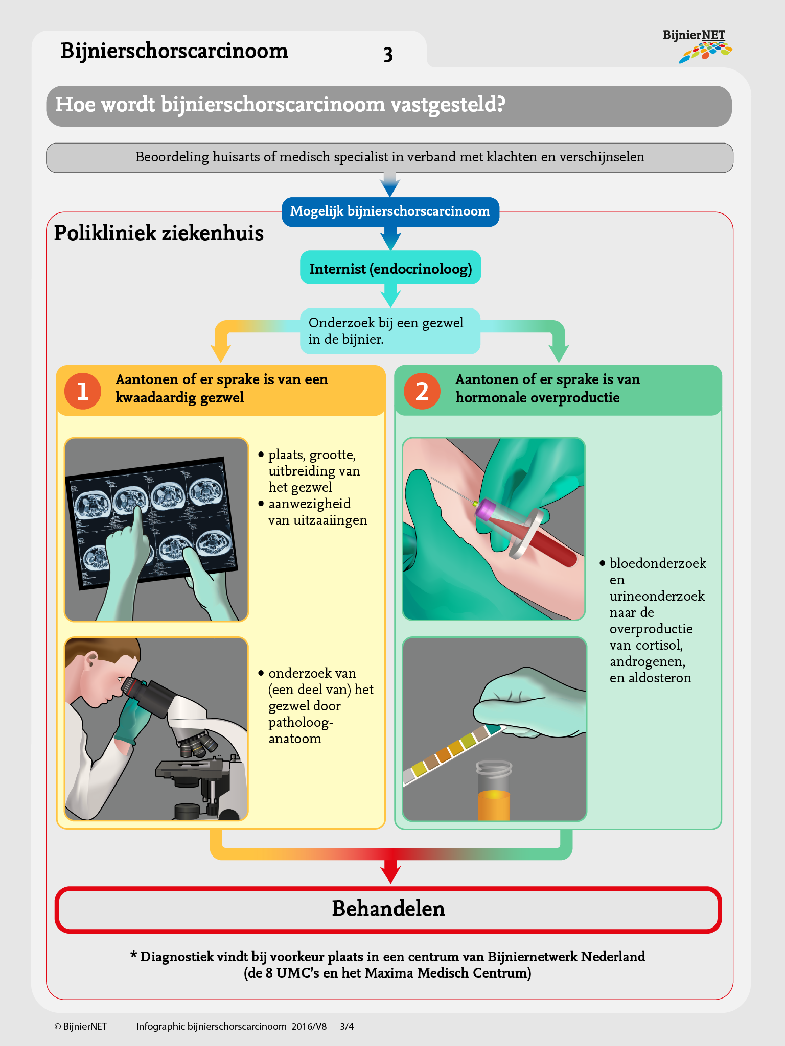 Infografic Bijnierschorscarcinoom - BijnierNET