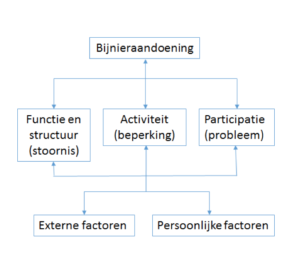 “ICF-model” - BijnierNET